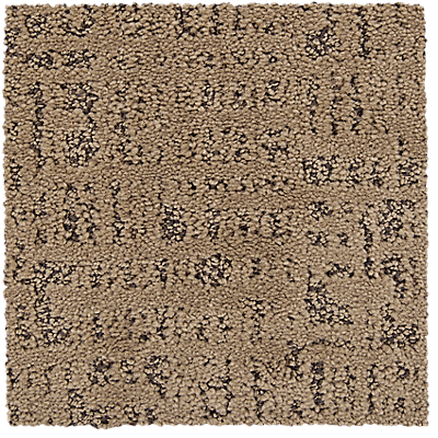 SmartStrand Carpet Featuring ColorMax Technology